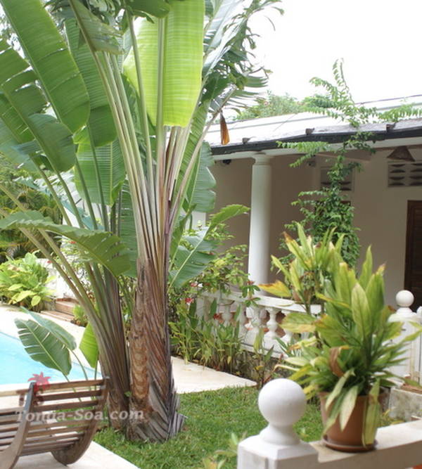 IM14720 : VENTE MAISON T5 AVEC MEUBLES-Majunga (Madagascar) (Alez_immobili