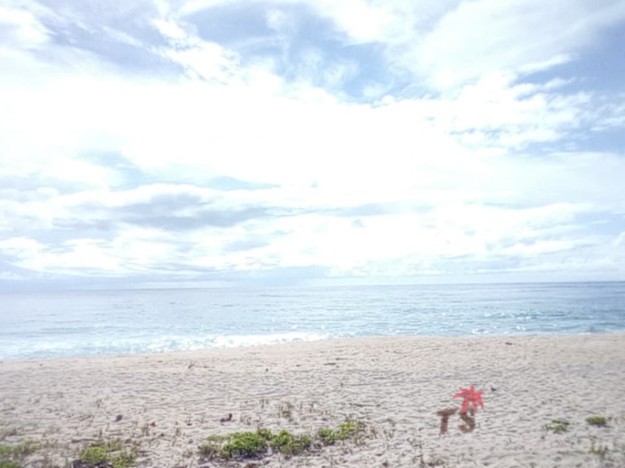 Terrain au bord de locéan – Sambava | Tonga-Soa